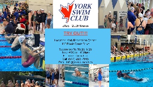 York Swim Club Home